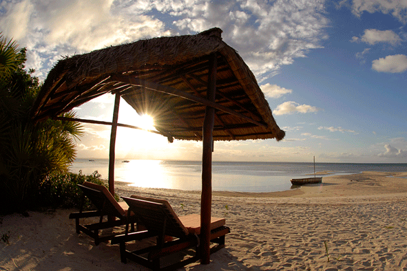 Honeymooning out-of-the-box - Modern Wedding