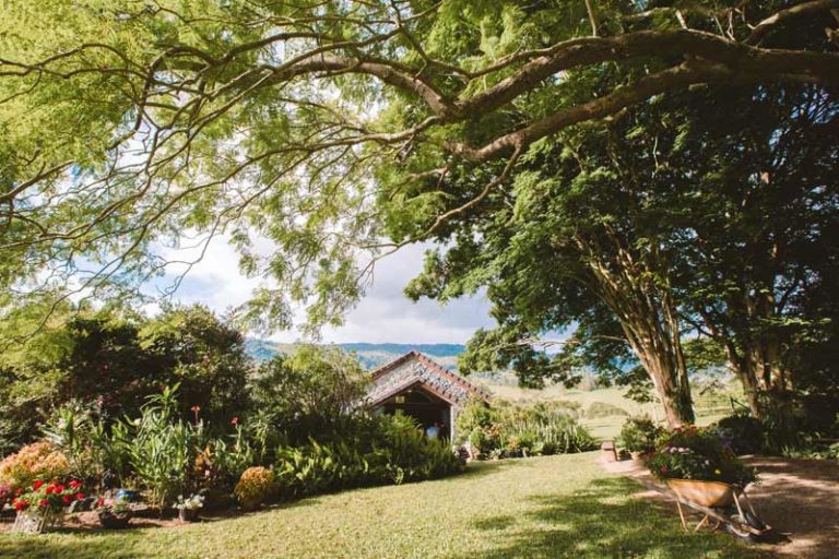 Jeremy & Aneela's Country Wedding - Modern Wedding