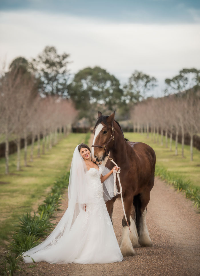 David Oliver Photography for Rhonda Hemmingway