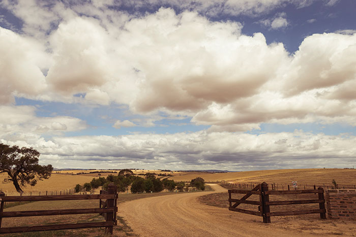 Barossa Valley Wedding