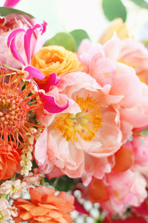 Bright Beautiful Blooms