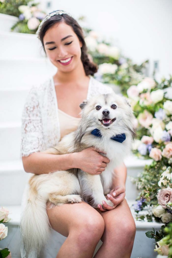 15 times pets were the best dressed at weddings! - Modern Wedding