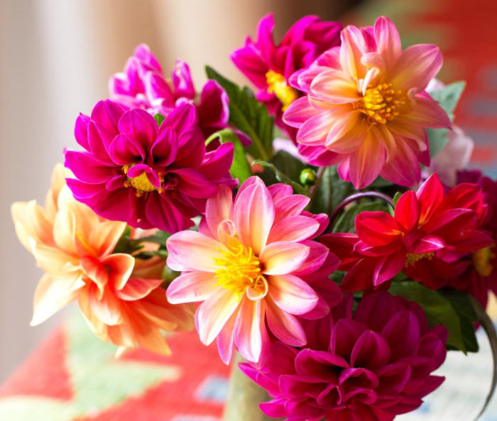 Floral Styling - Modern Wedding