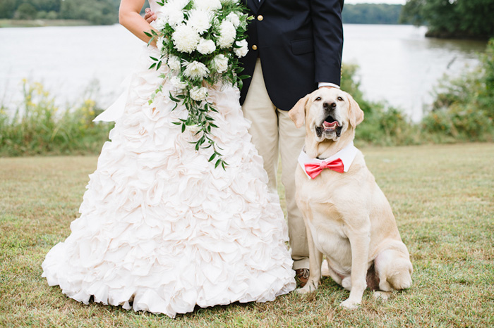 How To Include Pets In Your Wedding Day - Modern Wedding