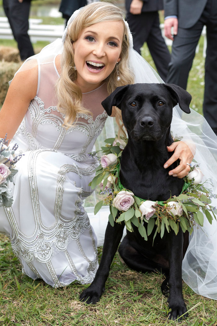 Proof That Animals Are The Best Wedding Guests - Modern Wedding