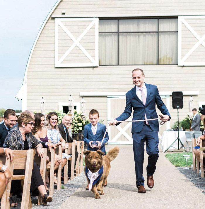 Proof That Animals Are The Best Wedding Guests - Modern Wedding