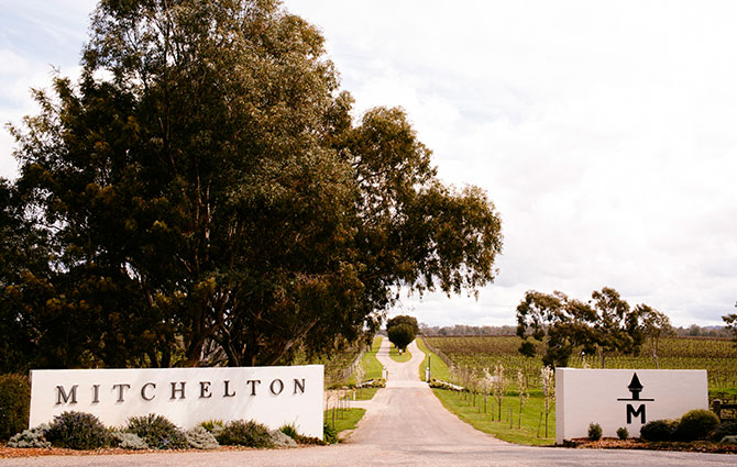 Mitchelton - Modern Wedding