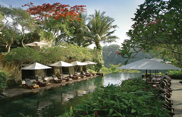 Maya Ubud - Modern Wedding